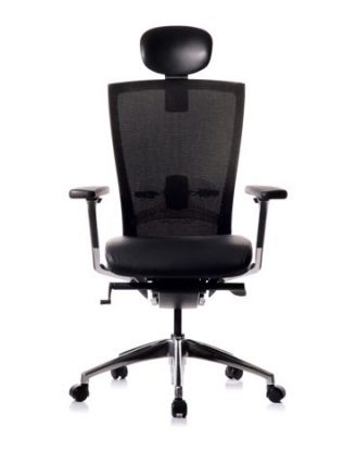 t50, techo, seating, office furniture, chair, comfort, lumbar support, mesh
